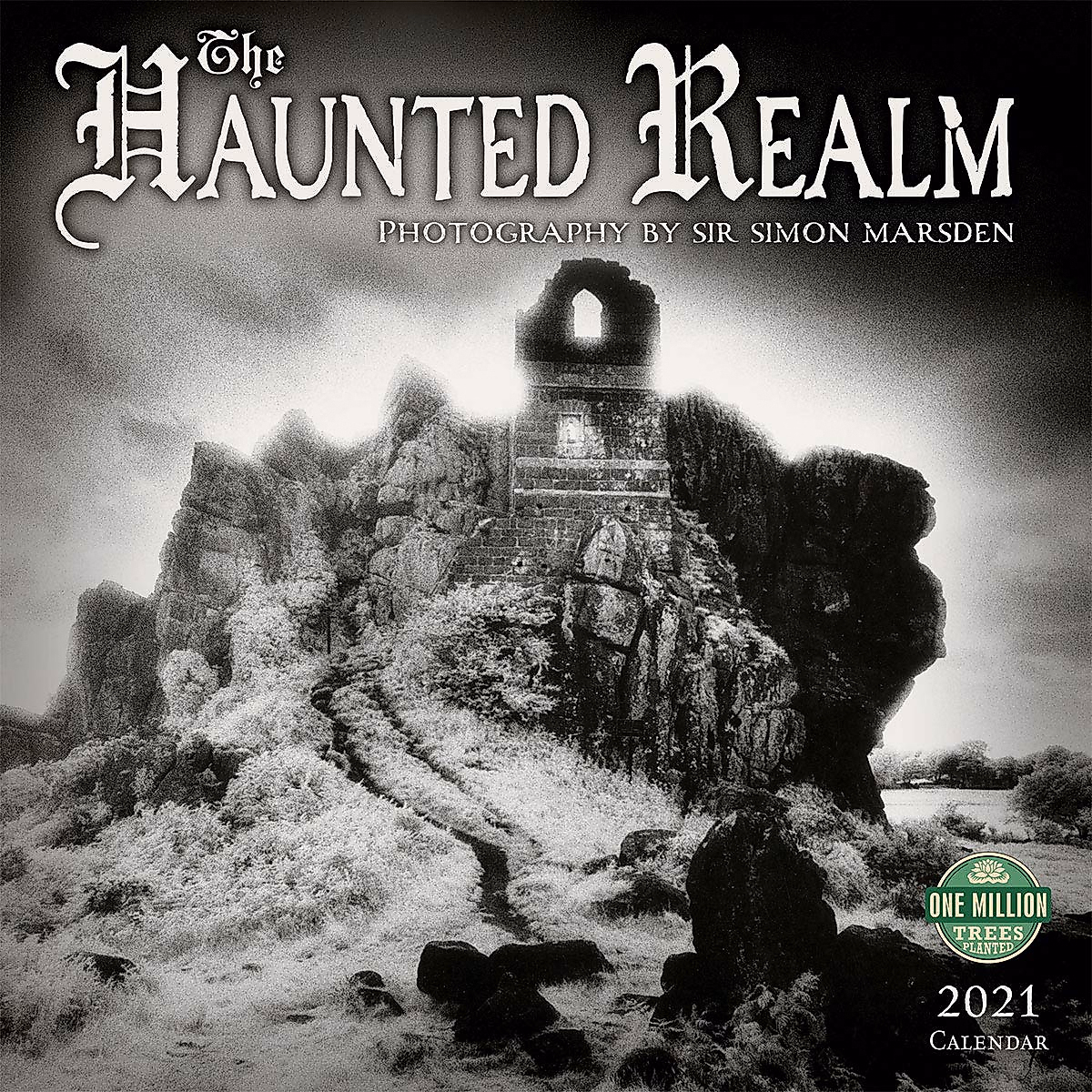 The Haunted Realm 2021 Wall Calendar