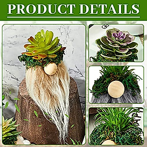 4 Pcs Gnomes Succulent Planter Swedish Gnome Plush Tiered Tray Decoration Summer Cute Gnome Gift for Women Farmhouse Cactus Desk Home Decor Green Garden Family Cacti Dwarf Shelf