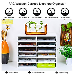 PAG Countertop Mail Sorter Organizer, Wooden Literature Organizer, Student Mailbox for Classroom, Desktop Bill Organizer for Office Home School, 12 Compartments, White