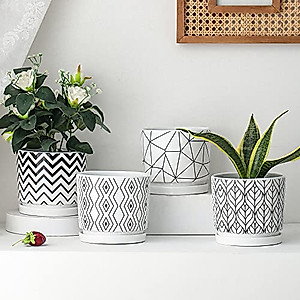 Ton Sin Plant Pots,5.5 Inch White Pots for Indoor Plants with Drainage Holes,Cylinder Flower Pot Ceramic Planters with Saucer,Cactus Succulent Outdoor Garden Pots Set of 4