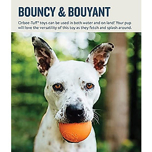 Planet Dog Orbee-Tuff Squeak Ball Orange Dog Fetch Toy