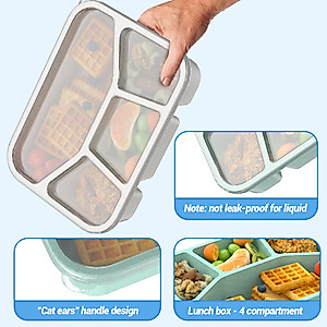 Bento Lunch Box for Kids (4 Pack), 4-Compartment Meal Prep Container with Transparent Cover, Freezer and Dishwasher Safe Food Storage Containers, Reusable Bento Adult Lunch Box for Work School Travel