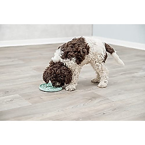TRIXIE Junior Licking Mat, Pet Slow Feeder, for Dogs and Cats, Mint