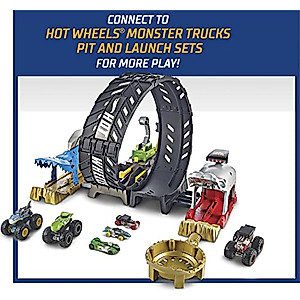 ​Hot Wheels Monster Truck Epic Loop Challenge Play Set with Truck and car