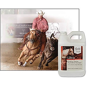 UltraCruz Equine Bright White Horse Shampoo, 1 Gallon