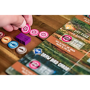 Stonemaier Games: Wingspan Oceania Expansion | Add to Wingspan (Base Game) | includes New Player Mats, Food, and Egg Color | 95 Unique New Birds | Cooperative Mode | 1-5 Players, 70 Mins, Ages 14+