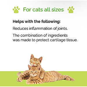 Artricat Dietary Supplement by Interfarma Corp | Cartilage Protection, Reduce Inflammation, & Joint Support for Cats | with Glucosamine, Collagen, & Hyaluronic Acid | Pineapple Flavor, Drops (2)