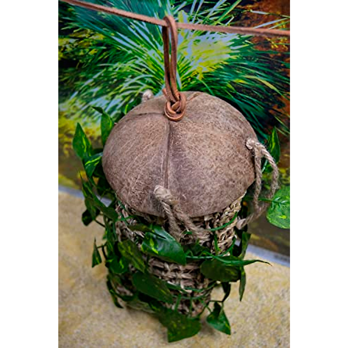 Lizard Lounger Penn-Plax Reptology for Bearded Dragons, Iguanas, and Other Reptiles - Adjustable Hanging (Coconut Climber)