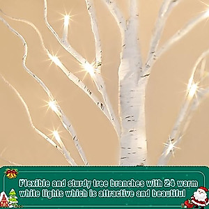 PEIDUO Christmas Tree, Christmas Table Decorations, 2FT Birch Tree with LED Lights, Warm White Tree Lamp, Fairy Light Spirit Tree for Xmas Room Inside Mantel Decor, Battery Powered, 6H/18H Timer (4PK)