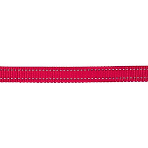 PetSafe Sport Leash, Durable Nylon Leash with Unique Padded Hand Wrap Handle to Help Keep Hands Free for Running or Walking, for Dogs up to 75 lb., Red
