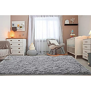 Zareas Soft Fluffy Rug for Bedroom, 4x6 Feet Shaggy Grey Rug, Plush Area Rugs for Living Room Kids Room, Furry Rugs Shag Rugs for Apartment Dorm, Fuzzy Rugs Non-Slip for Home Decor