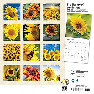 The Beauty of Sunflowers | 2024 12 x 24 Inch Monthly Square Wall Calendar | Sticker Sheet | StarGifts | Flower Floral Plant Outdoor Nature
