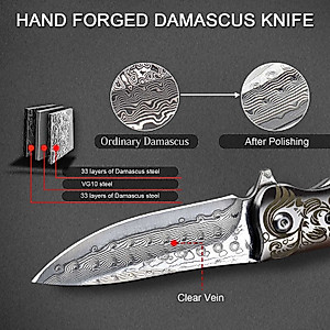 AUBEY Damascus Steel Pocket Knife with Clip, Abalone Shell Handle Folding Knife, Sharp EDC Hunting Knife with Leather Sheath for Camping Collection