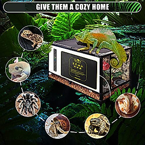 FIEESWARM Reptile Heating Pad Adjustable Temperature Under Tank Terrarium Heat Mat for Hermit Crab, Leopard Gecko, Tortoise, Snakes, Lizards. Reptile Heater with Thermometer (Rectangle)