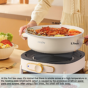 Dezin Electric Shabu Shabu Pot with Removable Pot, 5L Non-Stick Hot Pot Electric with Multi-Power Control, 3.7" Depth Electric Pot with Tempered Glass Lid for Party, Family and Friend Gathering