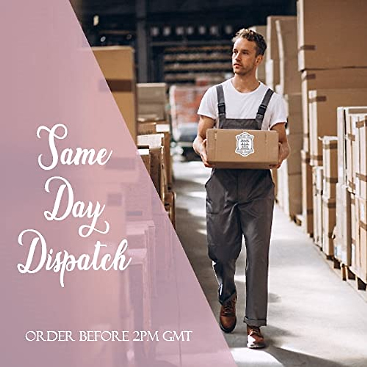 Farrow Industries Dolls House 2 Plain White Pet Food Dish Water Bowl Large 1:12 Pet Accessory