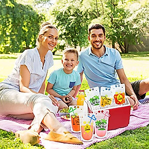 90 Pcs Drink Pouches for Adults, Clear Patterned Juice Pouches for Adults Bags, Reusable Drink Bags for Cold & Hot Drinks with 90 Straws One Funnel(3 Patterns,30 each)