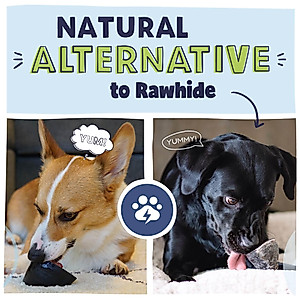 Pawstruck Natural Cow Hooves for Dogs - Made in The USA Long Lasting Beef Hoof Dental Treat Chews - No Artificial Preservatives - 25 Count - Packaging May Vary