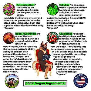 More Dog Days - Anti-Aging & Immune Support | Organic, Human-Grade Ingredients | Medicinal Plants & Mushroom Extracts | Omega 3's, Antioxidants, Probiotics, Vitamins & Minerals | Plant-Based & Vegan