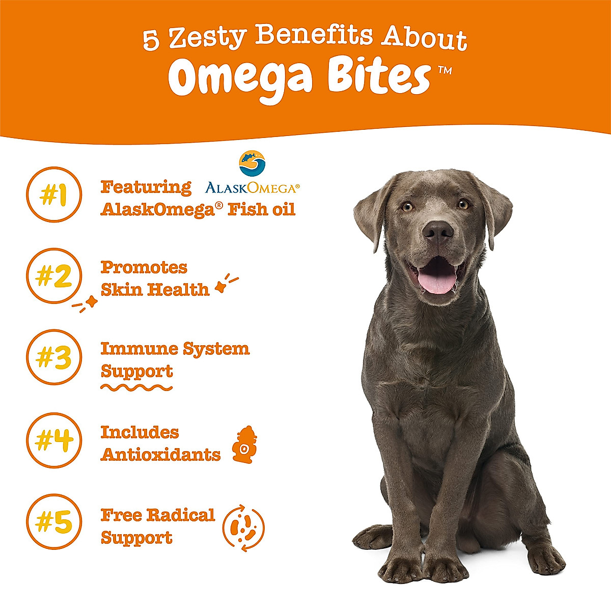 Omega 3 Alaskan Fish Oil Chew Treats for Dogs - with AlaskOmega for EPA & DHA + Probiotics for Dogs - Probiotics for Gut Flora, Digestive Health