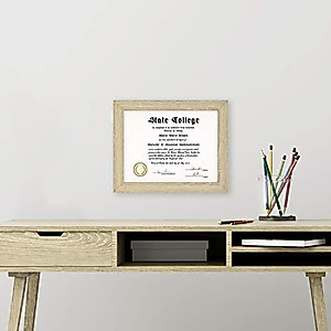 MCS Studio Gallery Document Frame, Certificate Frame Fits 8.5 x 11 Diplomas, Documents & Certificates, Natural Woodgrain, Single