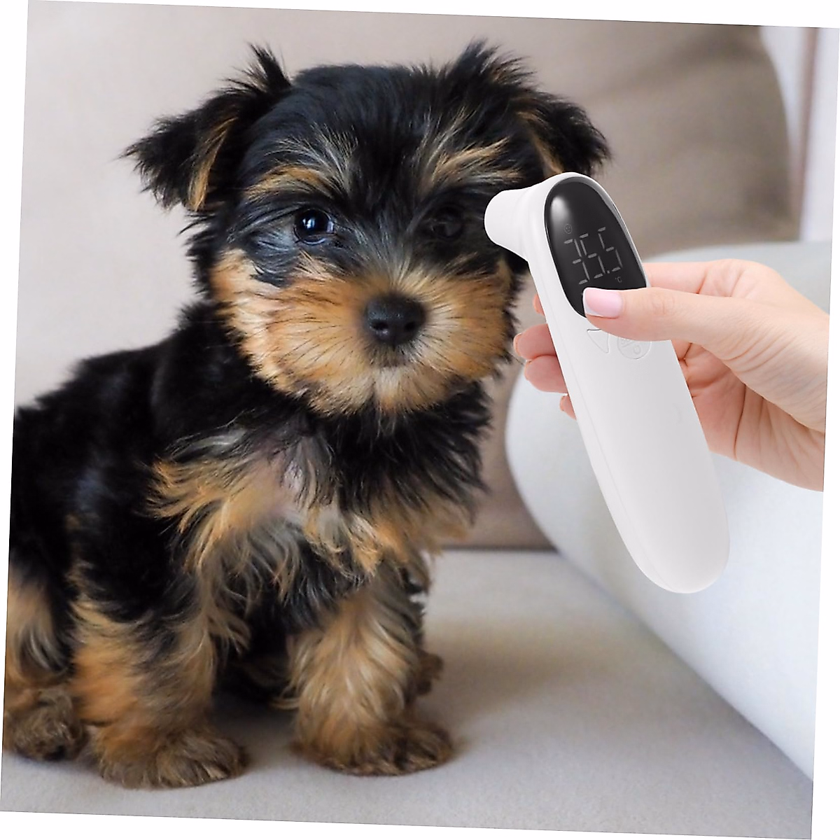 1 Set Pet Thermometer Small Animal Thermometer Cat Thermometer Pet Screen Thermometer Dog Thermometer Pig Thermometer Digital Thermometer Pet Ear Thermometer Dogs Cats Thermometer