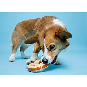 Hartz Chew ‘n Clean Chew Toy and Treat in One Chicken Flavored Ring Dog Toy, Medium