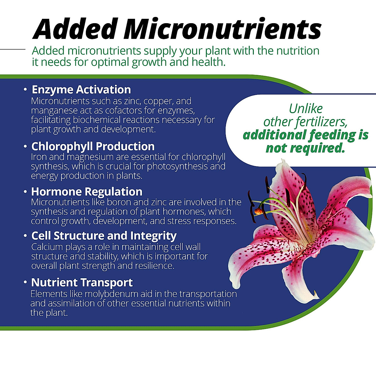 Jack's Classic 20-20-20 All Purpose Water-Soluble Fertilizer with Micronutrients to Provide General Growth on All Plants, 10lbs