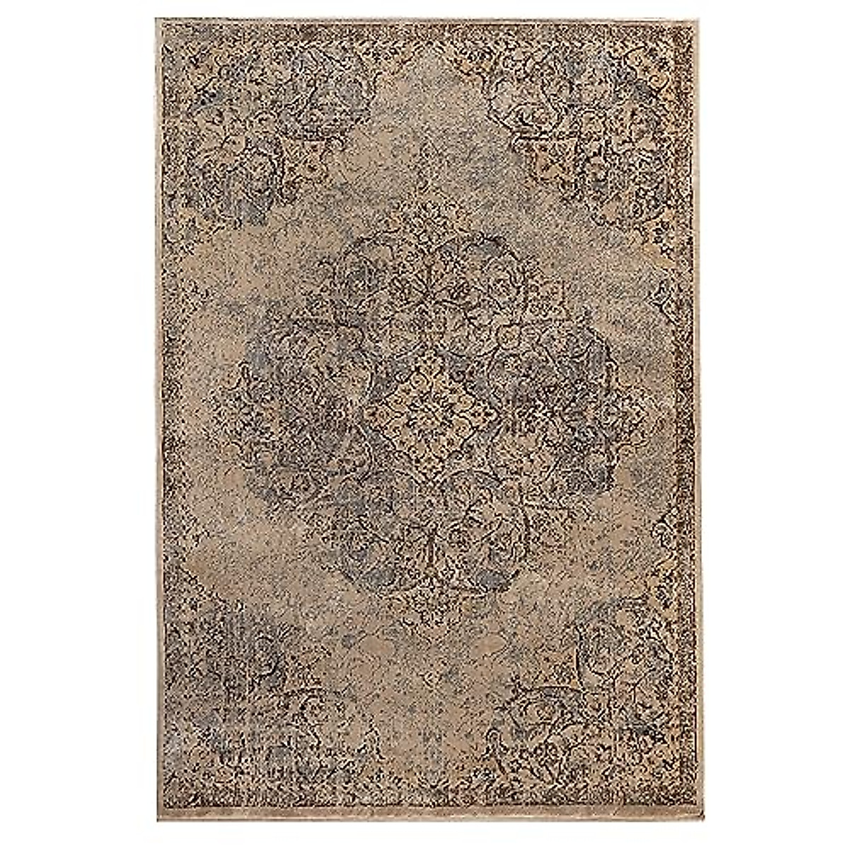 SUPERIOR Indoor Area Rug or Runner, Traditional Distressed Medallion Floor Decor, Home Accessories for Living Room, Bedroom, Office, Kitchen, Dining, Soft Plush Rugs, Maeve Collection, 8' x 10'