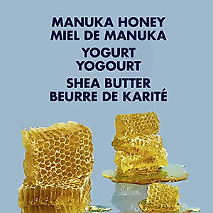 Shea Moisture Shampoo and Conditioner Set 13 Fl Oz Ea Bundled with Protein Power Treatment 8 Fl Oz. Manuka Honey & Yogurt Hydrate + Repair Hair, Vitamin C, Sulfate Free & Hair Color Safe 