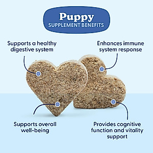 Origin Labs Puppy Multifunction Support DHA Omega 3 Supplement, Wild Alaska Salmon Fish Oil, Probiotic for Gut Health, Immune Support, Heart, Skin, Brain, Joint Health, Salmon Flavor, 60 Soft Chews
