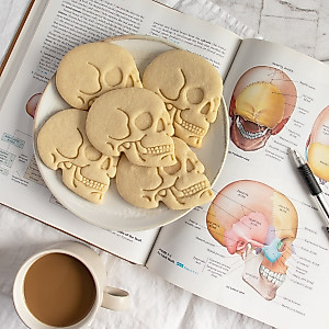 Anatomical Human Skull cookie cutter, 1 piece - Bakerlogy
