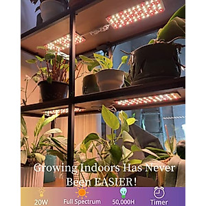 DOMMIA Grow Lights for Indoor Plants, 20W Full Spectrum LED Grow Light with Auto ON & Off Timer, 132 LEDs Sunlike Plant Light for Hydroponics, Succulents & More, Easy to Assemble（2Pcs）