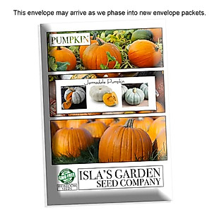 Jarradale Pumpkin Seeds for Planting, Pale Green Color, (Jarrahdale) 10 Heirloom Seeds, (Isla's Garden Seeds), Non GMO Seeds, Botanical Name: Cucurbita Maxima, Great Home Garden Gift