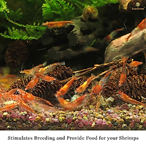 SunGrow Alder Cones for Shrimps, Water Conditioner for Freshwater Shrimp Tanks, Aquarium Decorations & Accessories (50 Pcs)