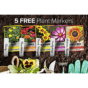 Flower Garden Seeds for Planting Outdoors Flower Seeds (5 Variety Pack) Daisy, Marigold, Cosmos, Sunflower, Zinnia Varieties for Bees, Pollinators Wildflower Seed by Gardeners Basics
