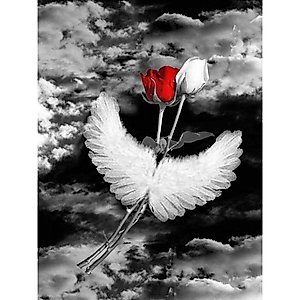Red and Black Diamond Painting Red White Roses with Angel Wing Full Square Drill Kits Embroidery Cross Stitch Mosaic Art for Adults Home Wall Decor Beautiful Picture for Festival Gift 16x20IN