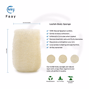 FAAY 4 Pcs Premium Natural Exfoliating Loofah Sponge: 6" Eco-friendly Unbleached Luffa Body Scrubber Rejuvenating Your Skin for Men and Women. Paraben Free Bath Sponge, Shower Loofah