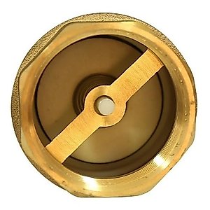 Fleximatic 4558 Brass Pichancha 1", Stainless Steel Filter