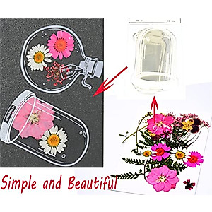 Transparent Dried Flower Bookmarks, Flower Bookmark Maker, Clear Floral Bookmark, Handmade Natural Dried Flower Bookmark, Transparent Floral Page Marker Home School Book Club Supplies (30 Bookmarks)