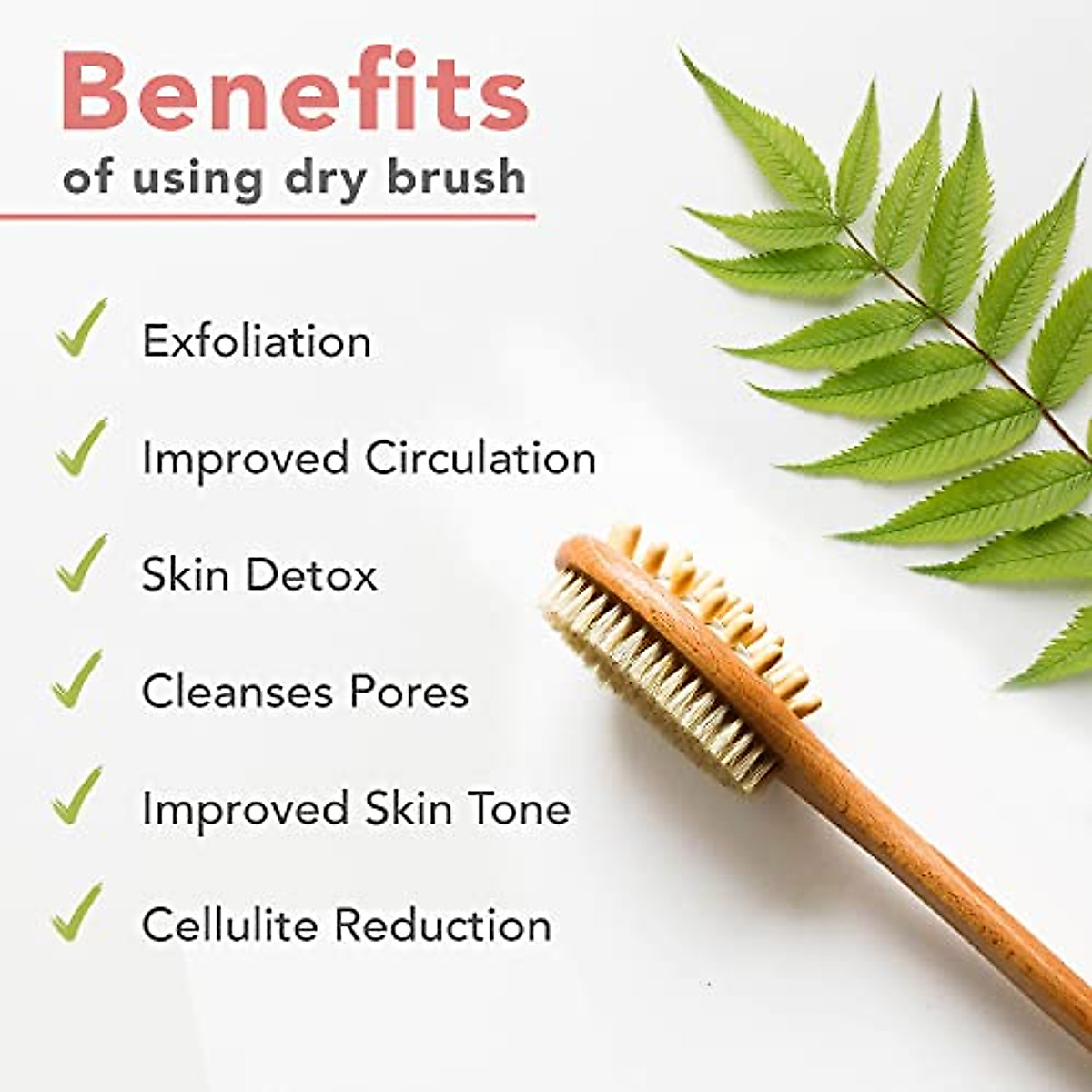 Dry Brushing Body Brush for Lymphatic Drainage with Anti Cellulite Massager - Long Handle Dual Sided Body Brush for Showering - Dry Brush for Body Back Scrubber for Shower (1Pc)