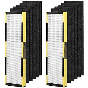 2 Pack Replacement FLT4825 Filter B with 10 Pack Carbon Pre-Filters Compatible with Guardian AC4825, AC4300BPTCA, AC4900CA, AC4825DLX, AC4850PT, CDAP4500BCA, CDAP4500WCA