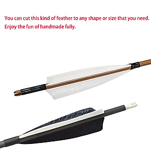 ZSHJGJR 50 Pack Archery Arrow Spiral Twist Wrap Full Length Feathers Left Wing Feathers Fletches Fletching (8-11inch) for Flu-Flu Arrows (White)