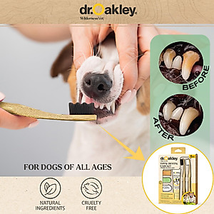 Dr. Oakley Total Dental Care Kit for Dogs & Cats: Chicken Flavor -Toothpaste, Brushes, and Case, Natural