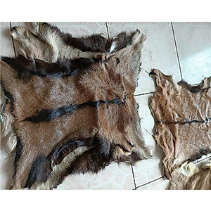 Real Antelope Goat Hide Fur Skin Pelt Fur Sheepskin Leather Fur Skin Clothing Accessories 1pcs (Approx 16"X20")