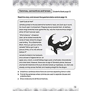 International Primary English Workbook: Stage 3 (Collins International Primary English)