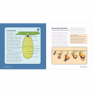 Butterflies for Kids: A Junior Scientist's Guide to the Butterfly Life Cycle and Beautiful Species to Discover