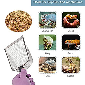 SUMHEN 3PCS Reptile Stainless Steel Fine Mesh and Reptile Lamp Stand Adjustable Heat Lamp Holder for Reptile Terrarium Lamp Fixture Hanger Suitable for Snake Turtles Lizard