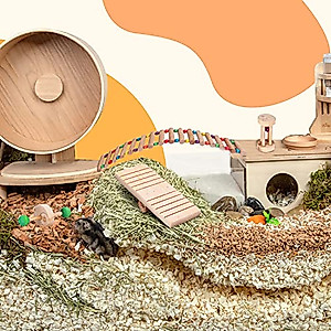 Nobleza Guinea Pig Toys, 7 Pack Natural Wooden Hamster Chew Toy Set, Teeth Care Molar Exercise Toys for Pet Rats, Dwarf Syrian Hamsters, Chinchillas, Gerbils