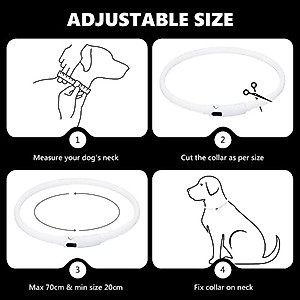 Light Up Dog Collars, Led Dog Collar for Pet Safety in Dark, Waterproof Rechargeable Dog Collar Light, Adjustable Size fit Most Dog, 3 Light Modes Dog Lights for Night Walking & Camping
